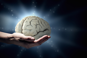 Hjernetræning - Professionel kognitiv træning af din hjerne